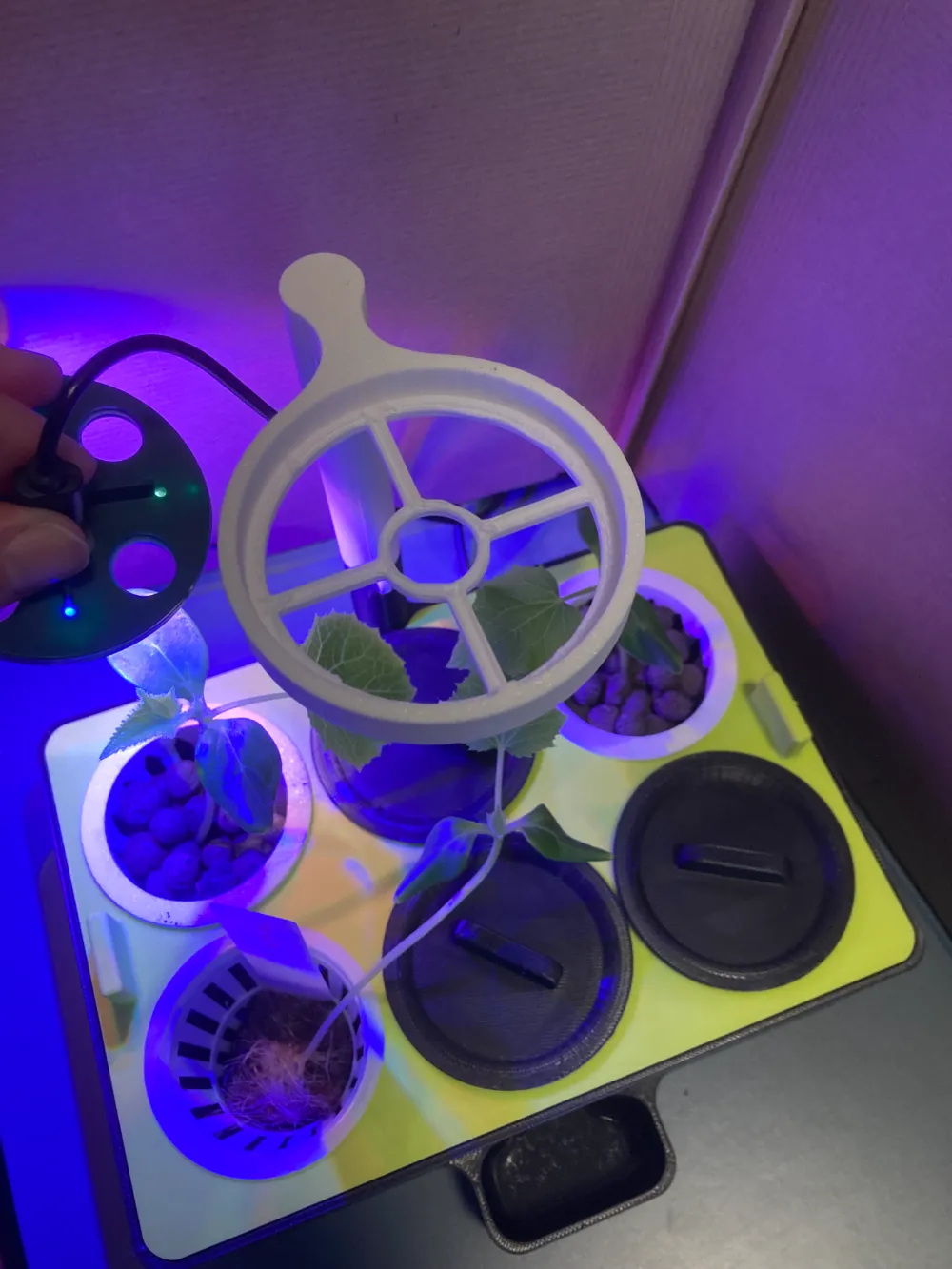 hydroponic indoor seed starter kit (kratky) by knutsel_cornerMakerWorld ...