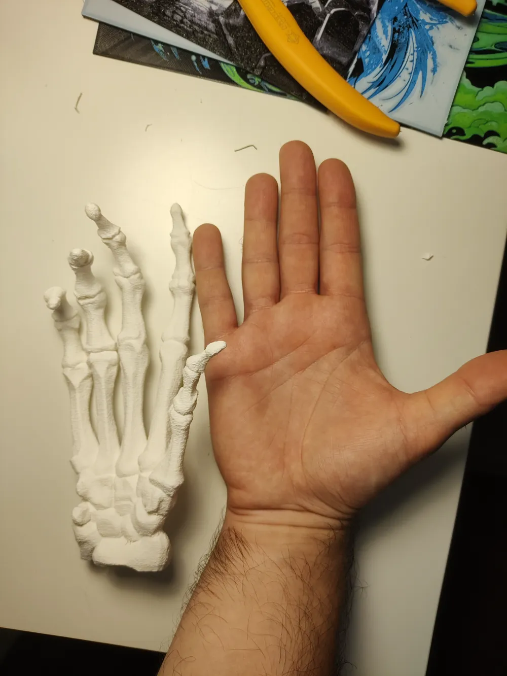 skeleton hand wall stand by TocToc3dPrint - MakerWorld