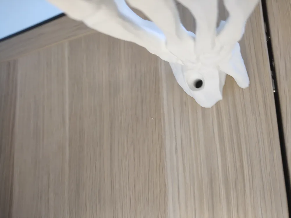 skeleton hand wall stand by TocToc3dPrint - MakerWorld