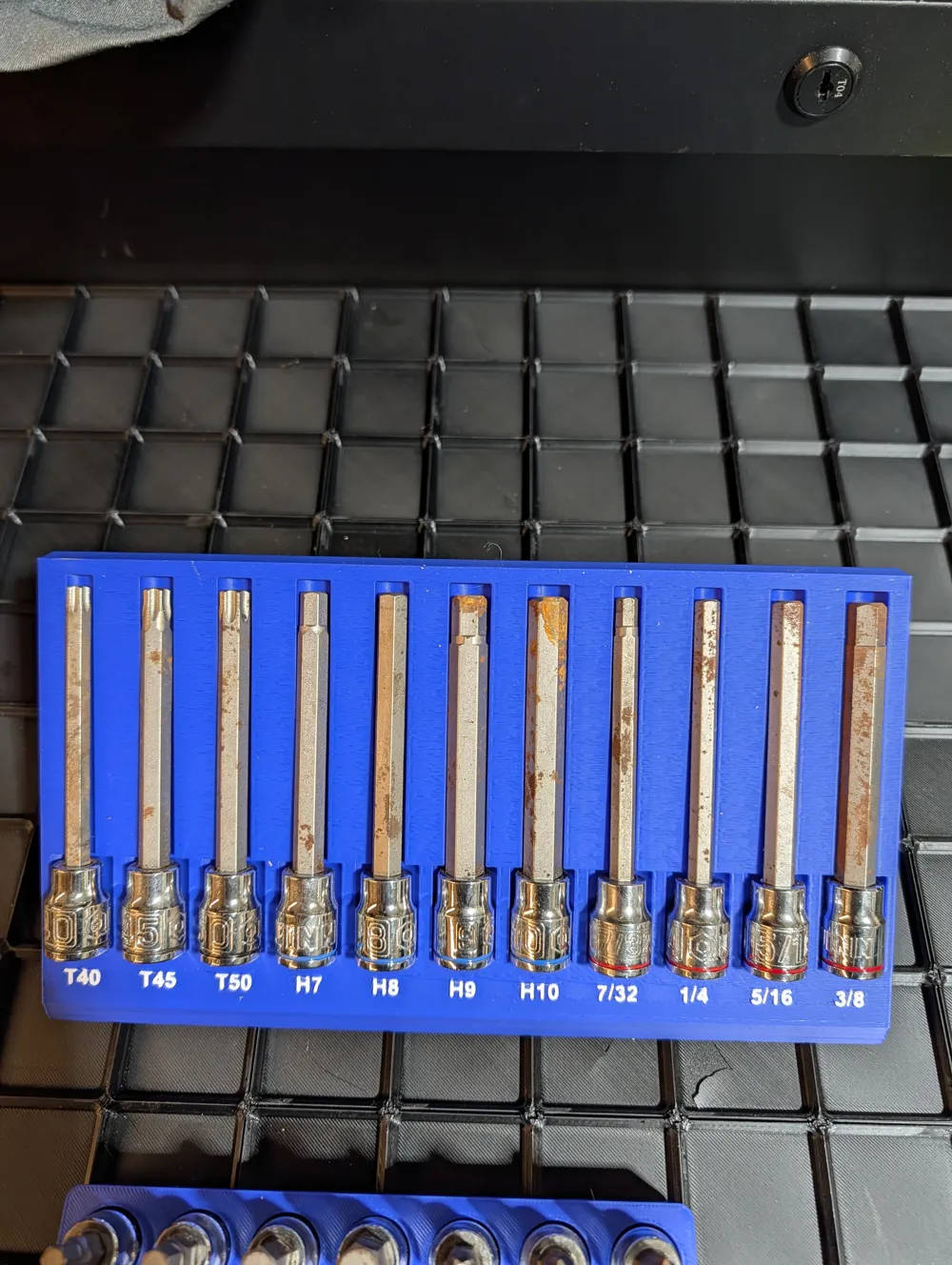 QUINN Organizador Gridfinity para Juego de Puntas de Vaso Maestras por ...