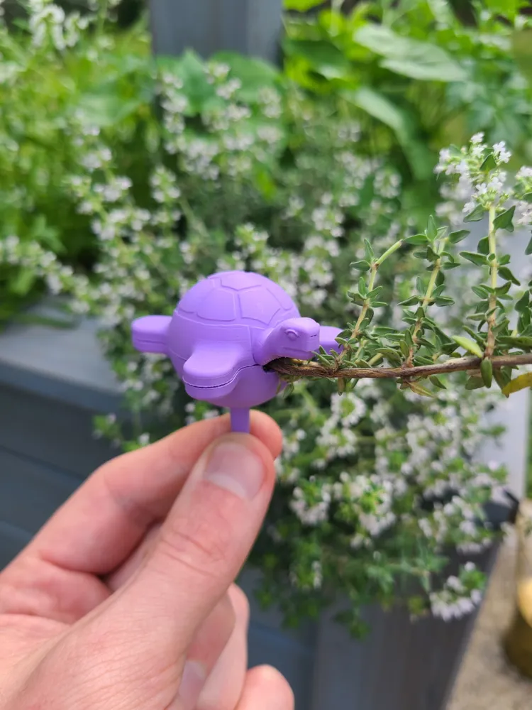 Air Layering Turtle Pods by Overton_Prints MakerWorld: Download Free 3D Models