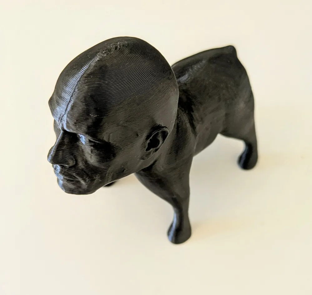Pet Rock - Free 3D Print Model - MakerWorld