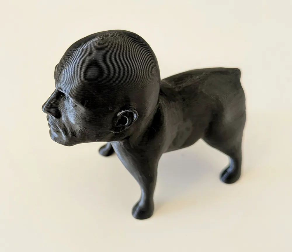 Pet Rock - Free 3D Print Model - MakerWorld