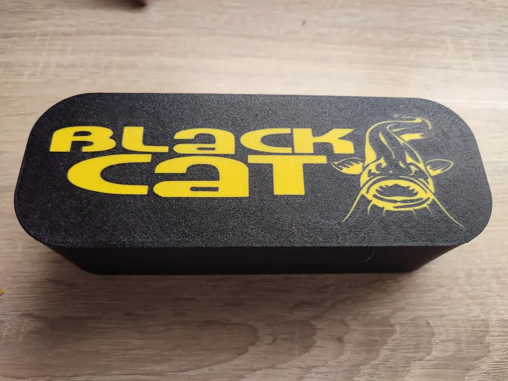 Black cat fishing lightbox ams by el_caspien - MakerWorld