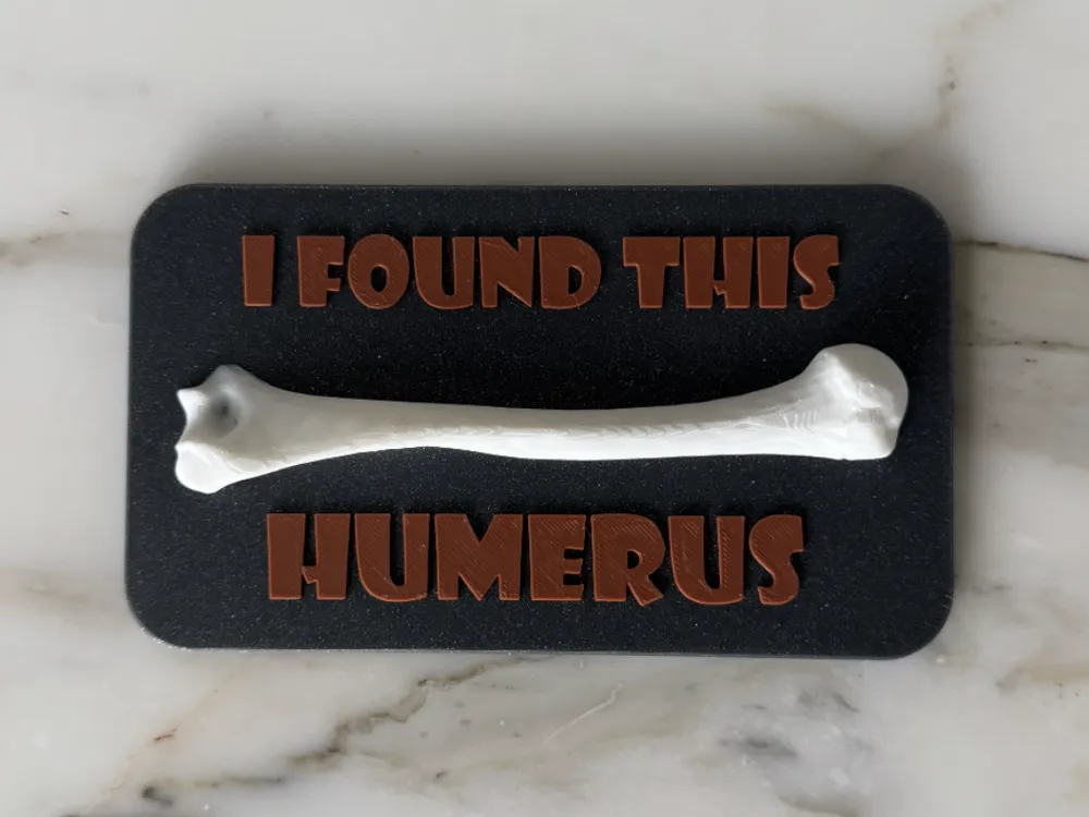 I Found This Humerus Sign by KelzanMakerWorld: Download Free 3D Models