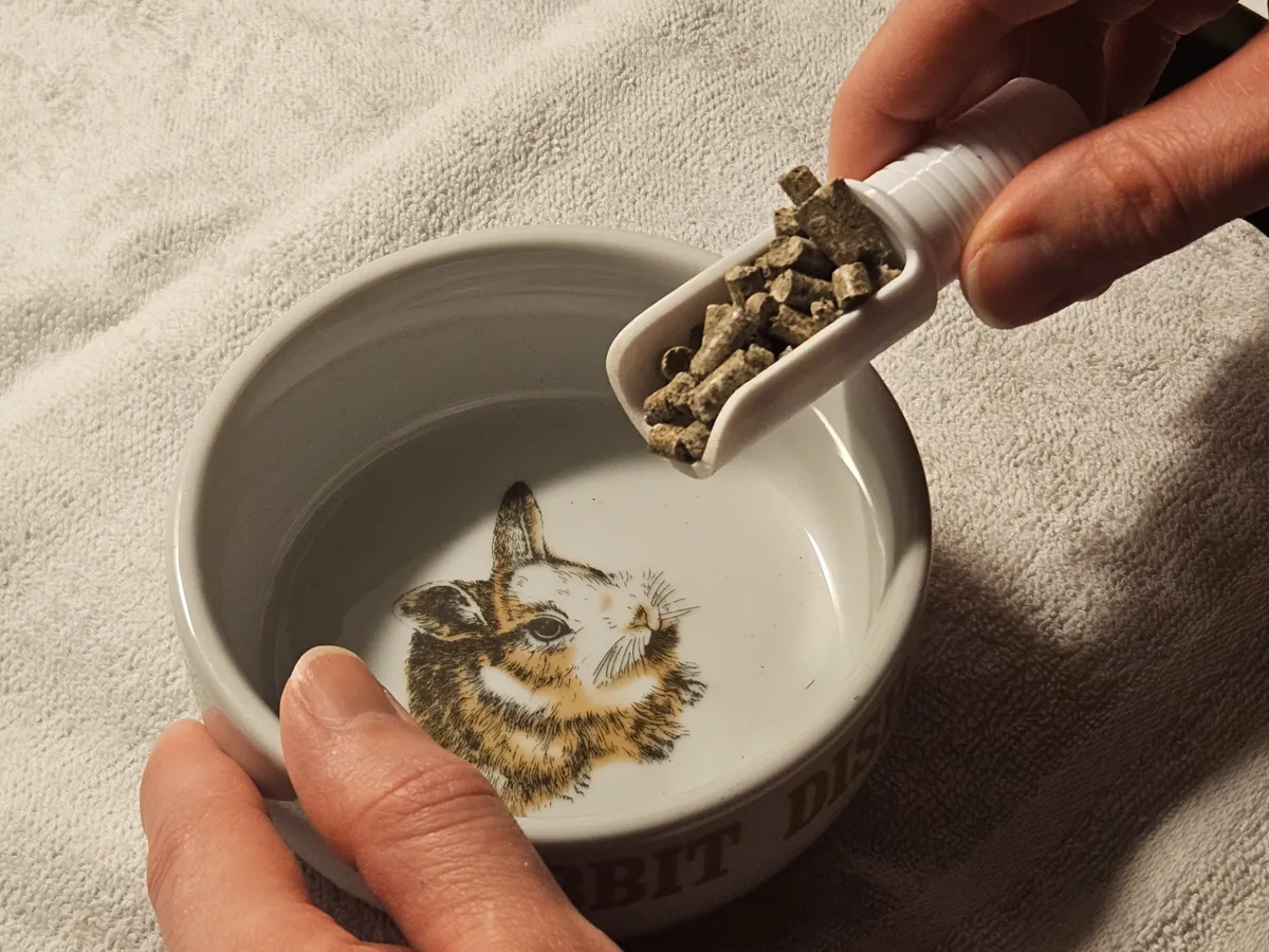 Little Scoop, about ~1 tbs - Free 3D Print Model - MakerWorld