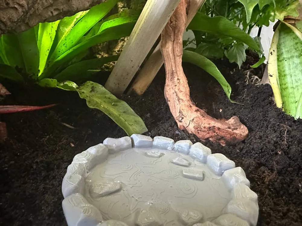 Shallow Water Dish - Free 3D Print Model - MakerWorld