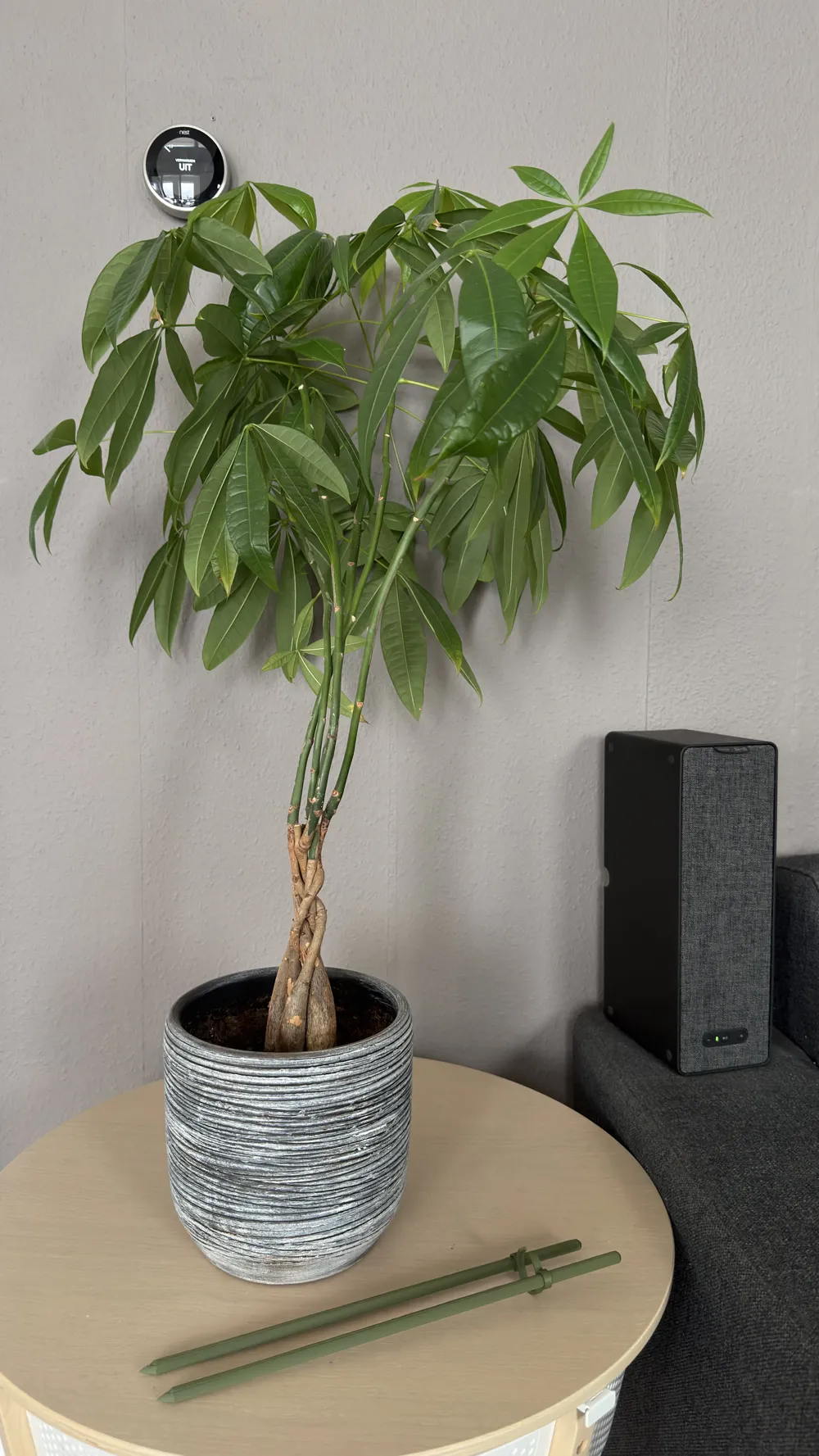Plant support sticks - Free 3D Print Model - MakerWorld