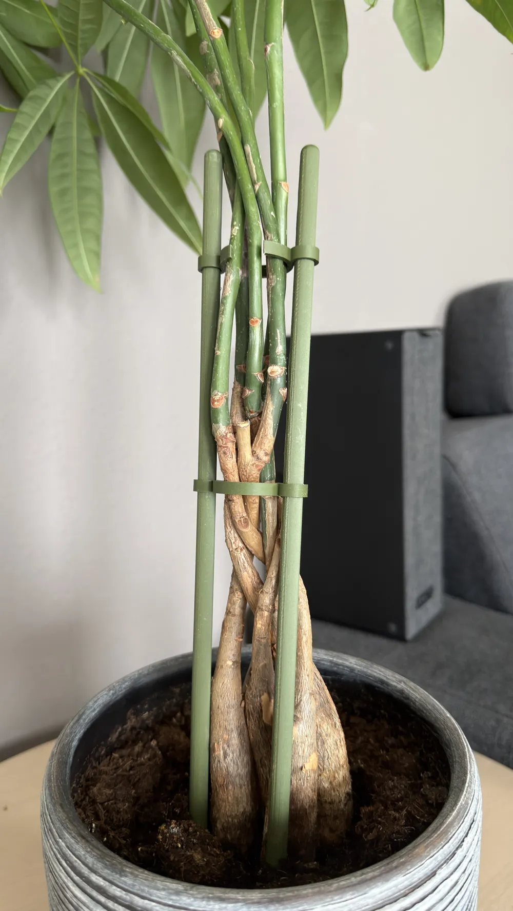 Plant support sticks - Free 3D Print Model - MakerWorld
