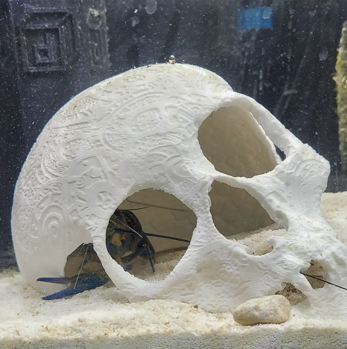 Broken skull for aquarium decoration - Free 3D Print Model - MakerWorld