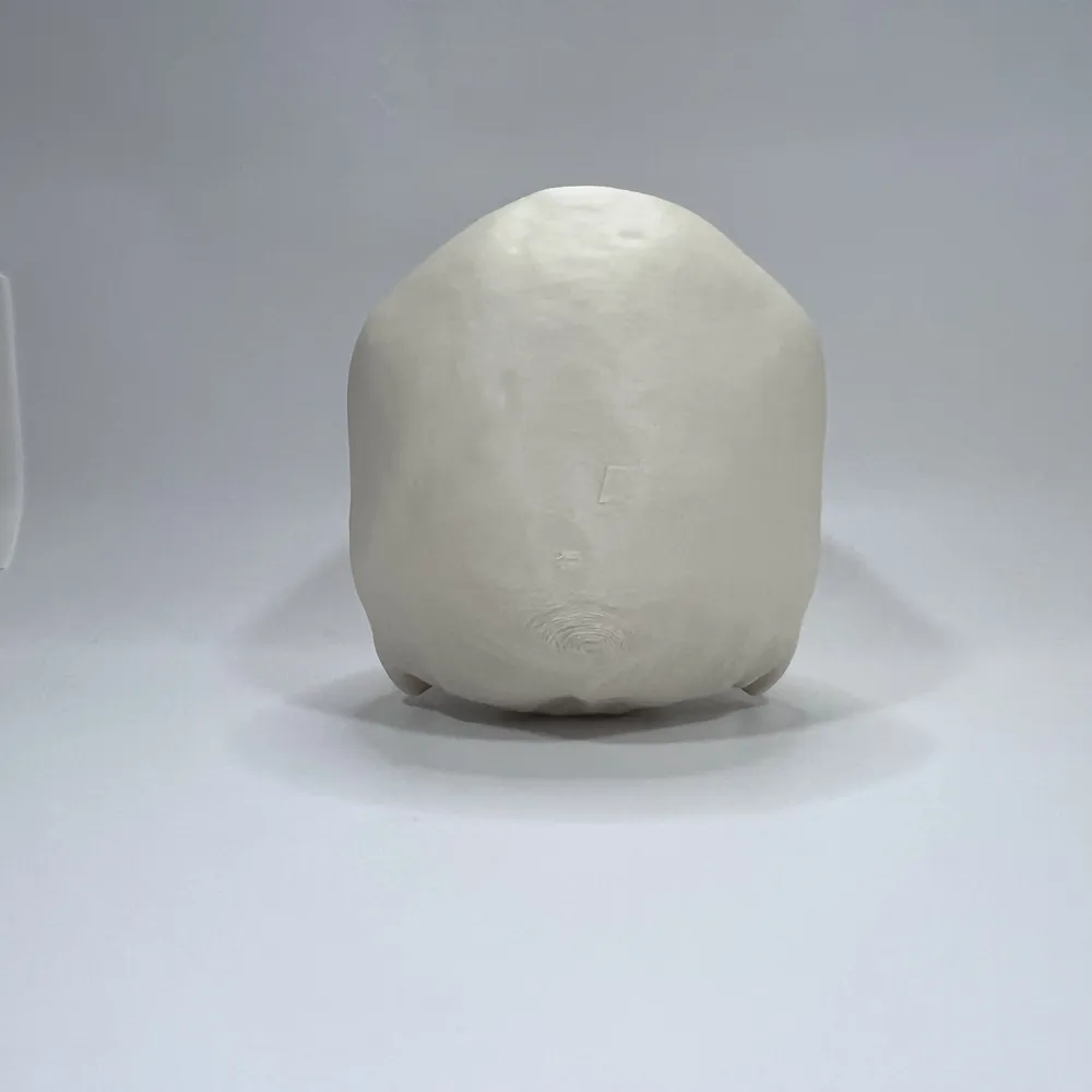 Visible Human Female Cranium and Mandible by anthroterrie MakerWorld ...