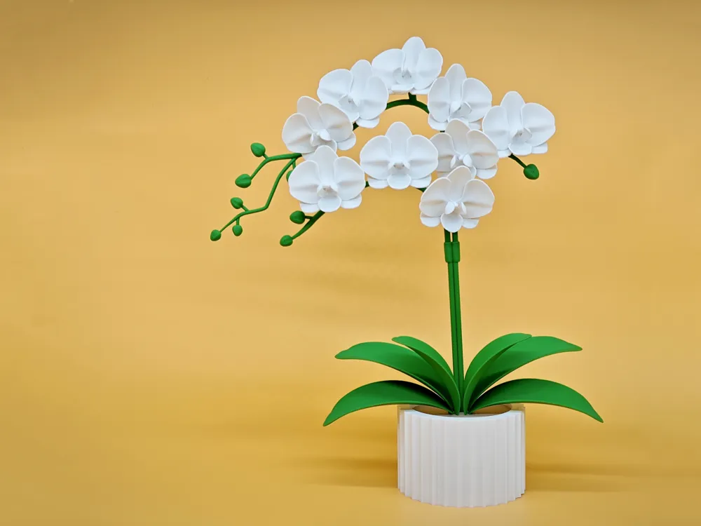 Moth Orchid - Free 3D Print Model - MakerWorld