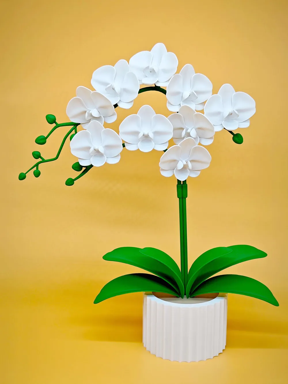 Moth Orchid - Free 3D Print Model - MakerWorld