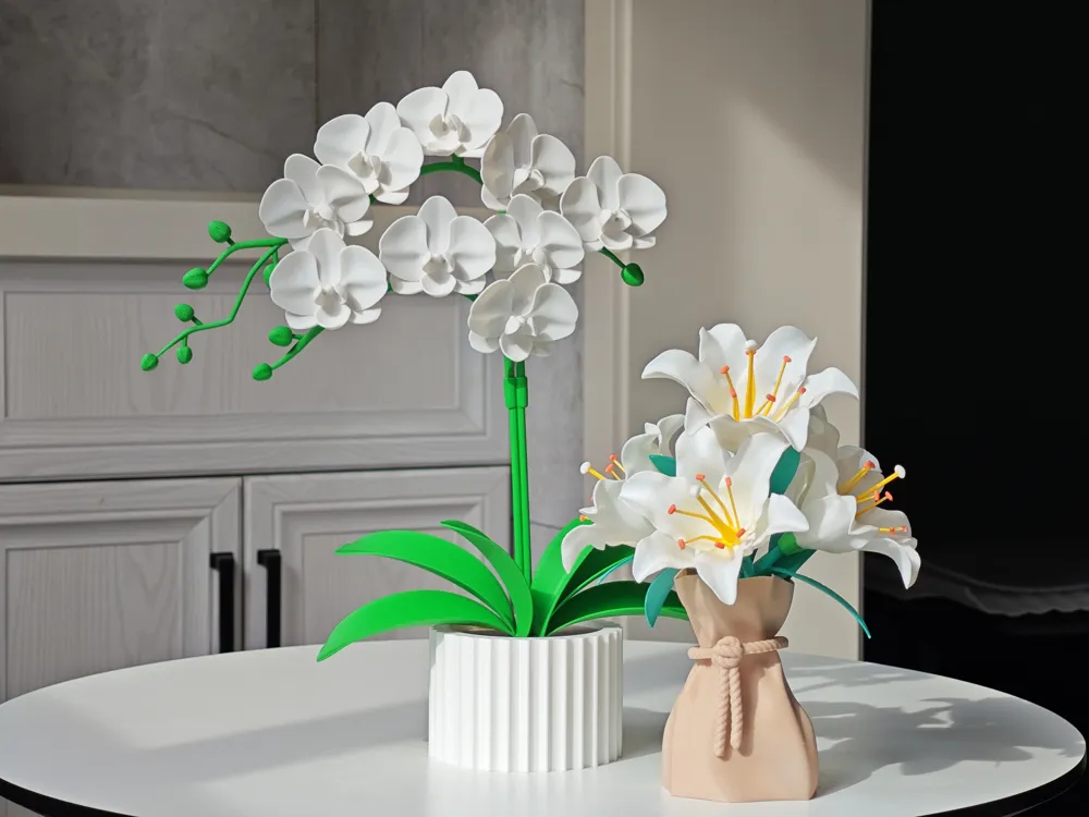 Moth Orchid - Free 3D Print Model - MakerWorld