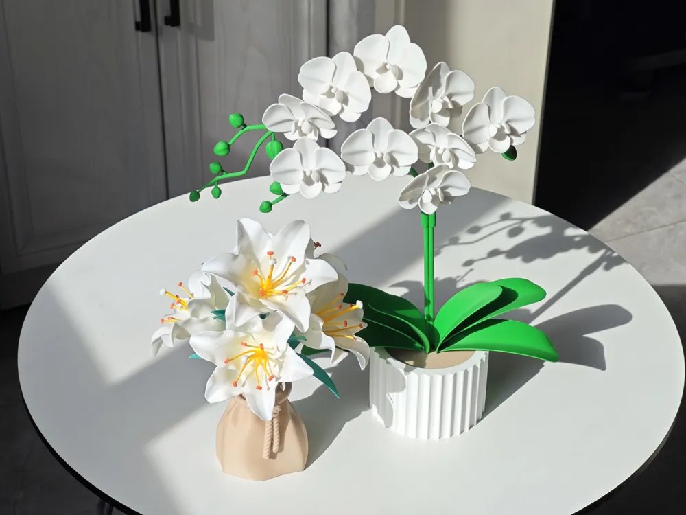 Moth Orchid - Free 3D Print Model - MakerWorld