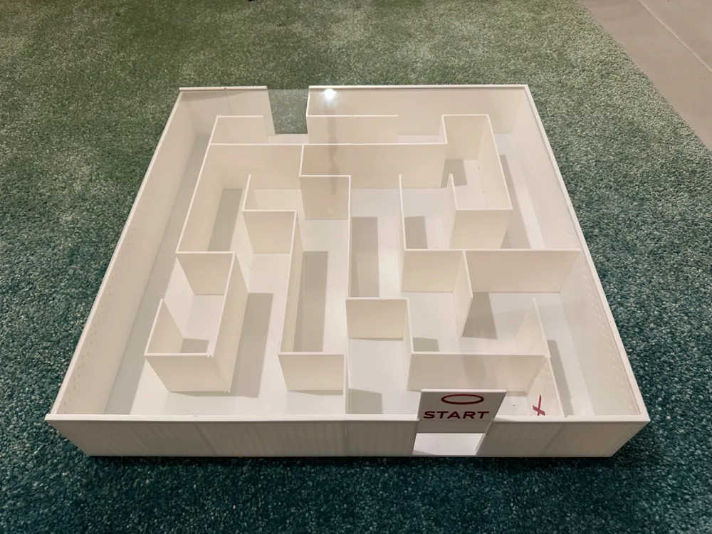 Large Maze for pets (hamster, gerbil, mouse) by matleez MakerWorld ...