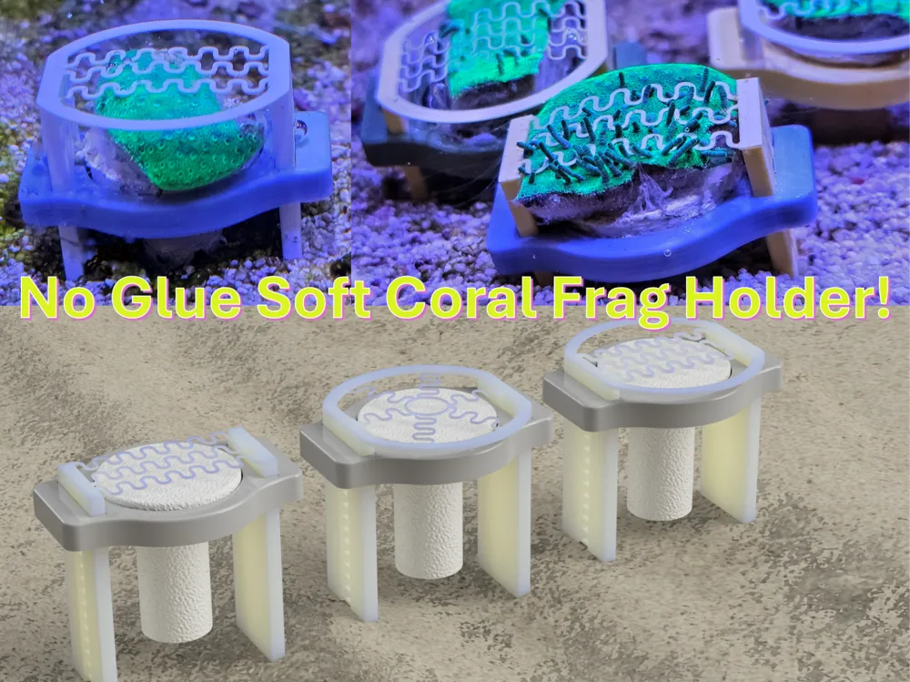 No Glue/Lace Frag Holder (Read Description) by Clown Corals - MakerWorld