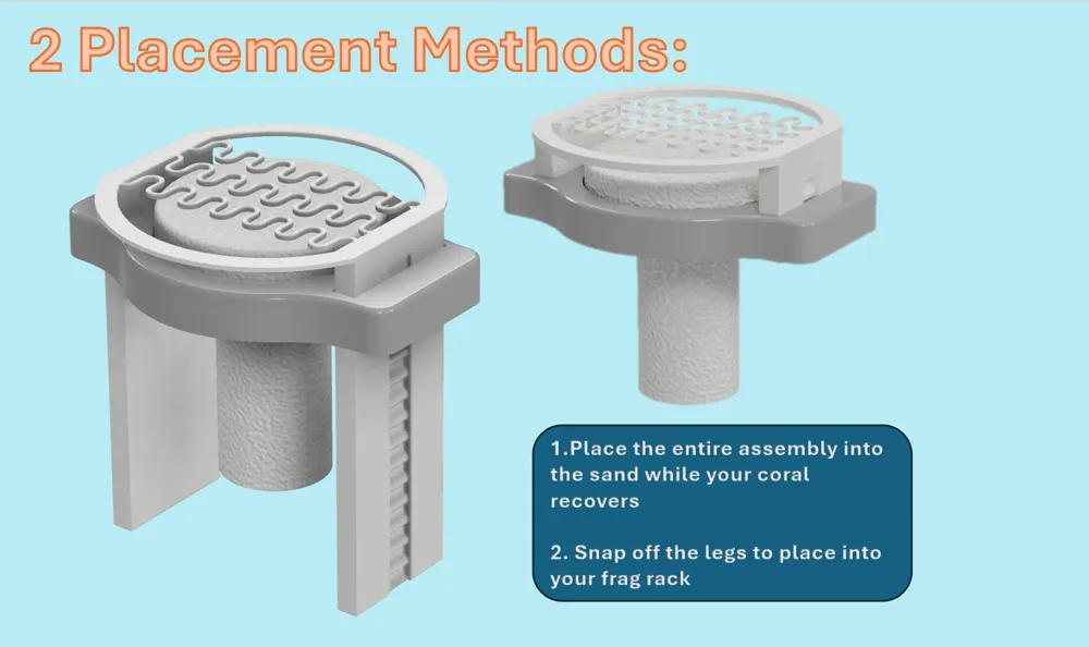 No Glue/Lace Frag Holder (Read Description) by Clown Corals MakerWorld ...