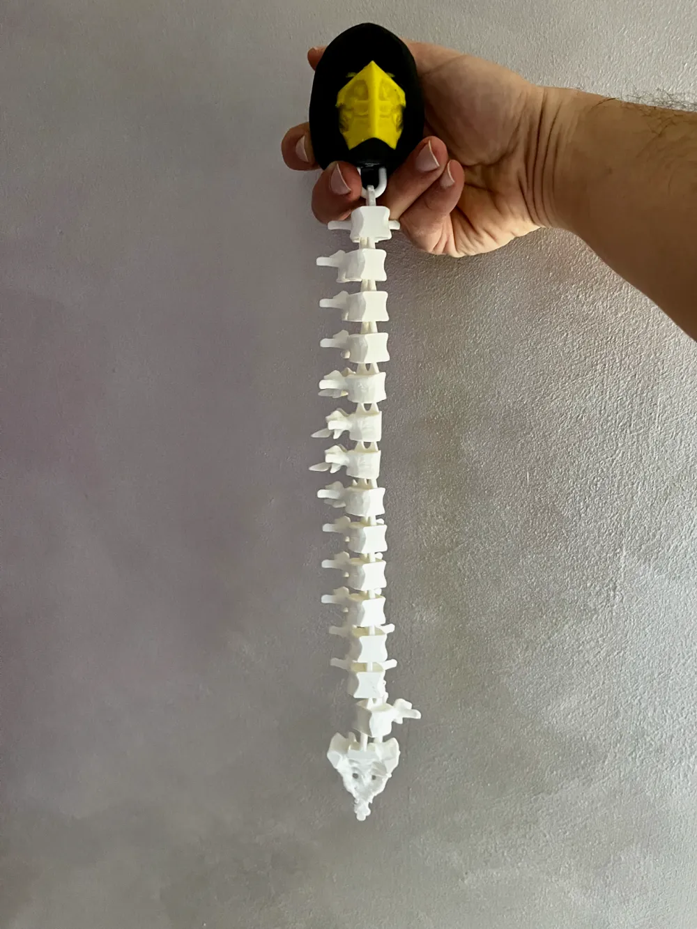 Articulated Scorpion head and spine - Free 3D Print Model - MakerWorld
