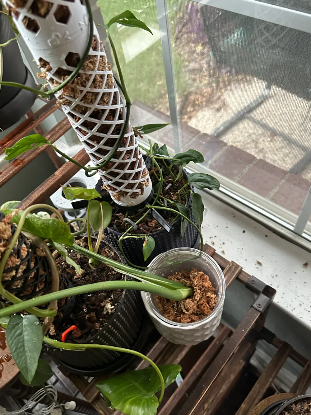 Modulares Moosstab-System mit Erweiterungen von Nubs 3d MakerWorld: Kostenlose 3D-Modelle ...