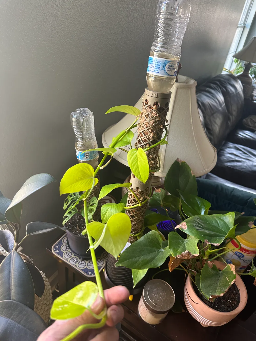 Modular Moss Pole System with addons by Nubs 3d - MakerWorld