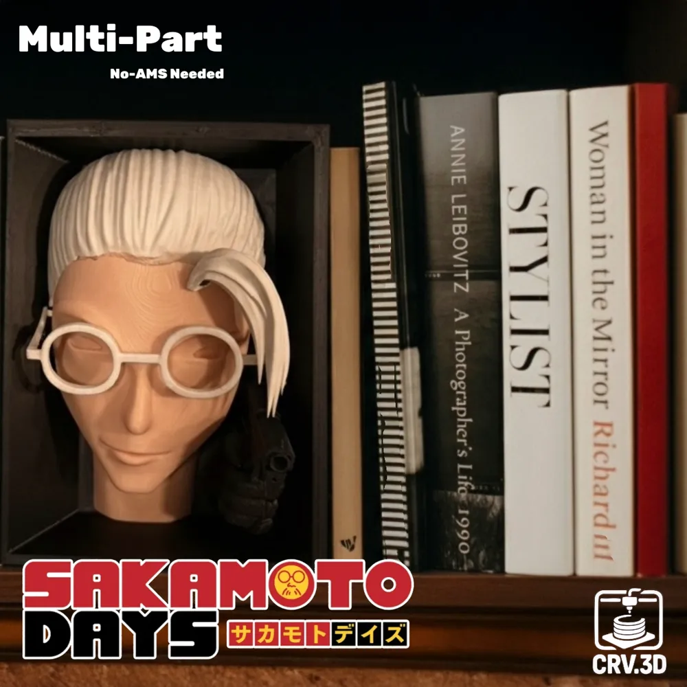 Sakamoto Book Nook (Fan Art) – Noir Shelf Insert by CRV.3D MakerWorld ...