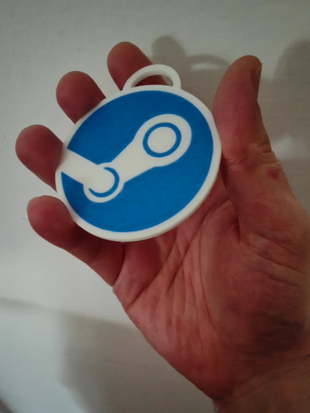 Steam logo keychain by Forest87 - MakerWorld