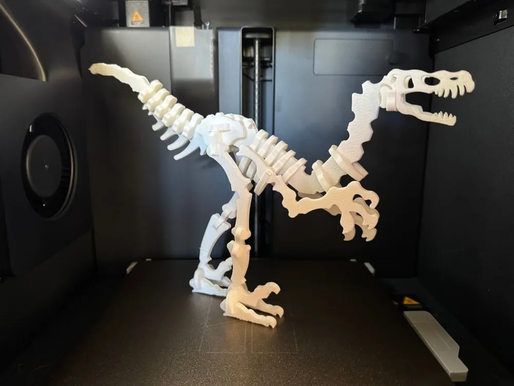 Velociraptor Dinosaur Skeleton Puzzle - Free 3D Print Model - MakerWorld