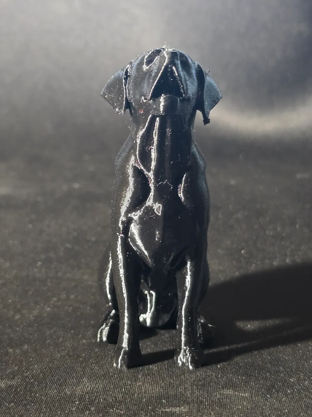 Labrador Retriever 3D Model by TeraBite MakerWorld: Download Free 3D Models