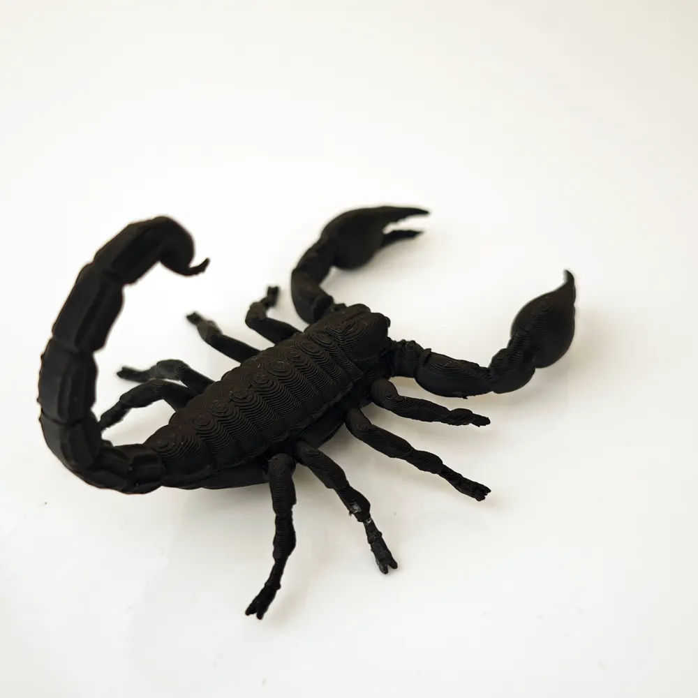 Scorpion Figurine –Detailed Arthropod Animal Model - Free 3D Print ...