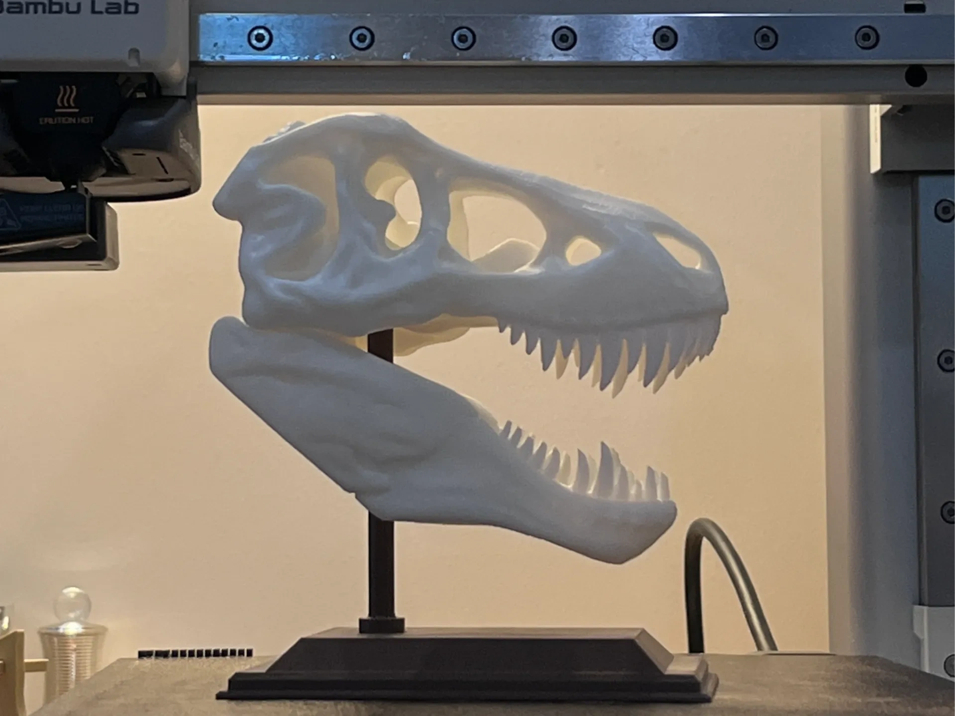 T-Rex perfectly fits the A1 Mini base stand Remixed by user_1592221009 - MakerWorld
