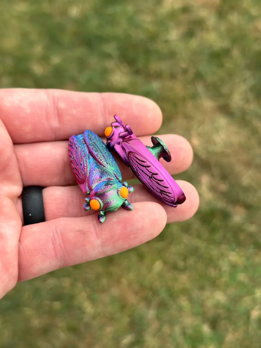 Cicada Croc Jibbitz Shoe Charm Decor by Justin Koch - MakerWorld