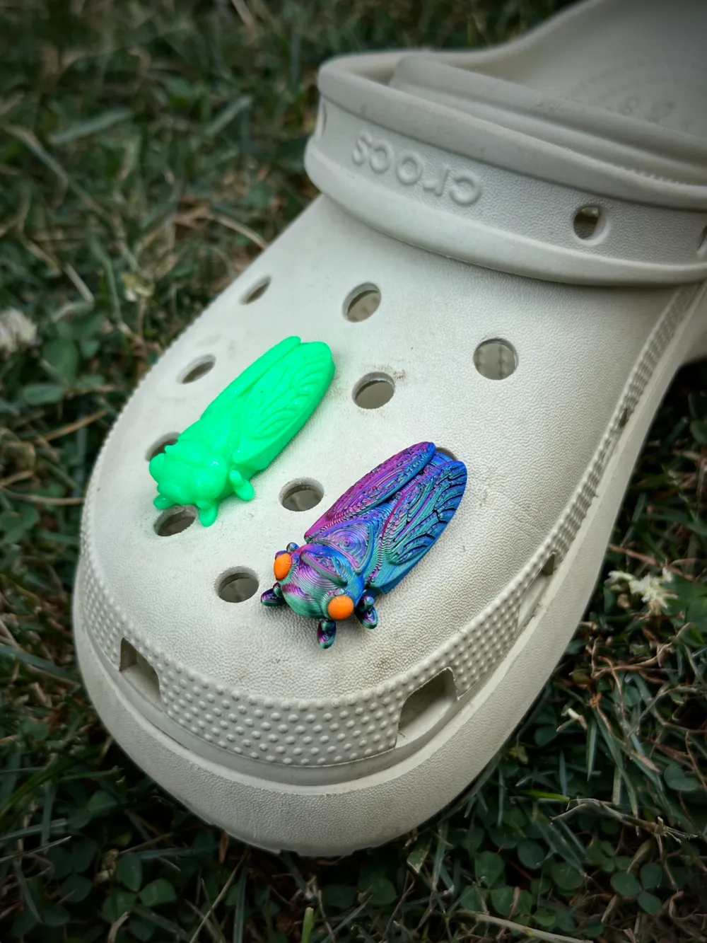 Cicada Croc Jibbitz Shoe Charm Decor by Justin Koch - MakerWorld