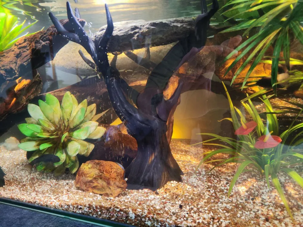 Dead tree aquarium (or terrarium) décor Remixed by haRICOvert - MakerWorld