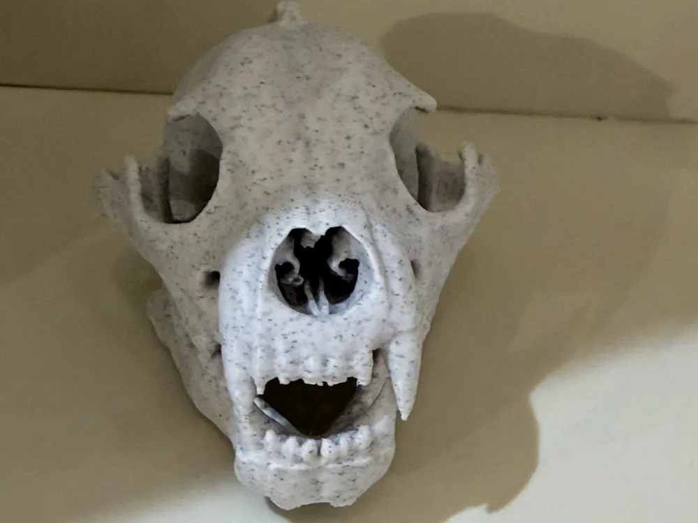Pitbull skull orb stand - Free 3D Print Model - MakerWorld