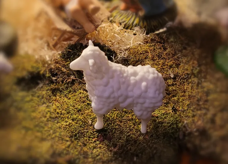 Low Poly Sheep by Numimadosa MakerWorld: Download Free 3D Models