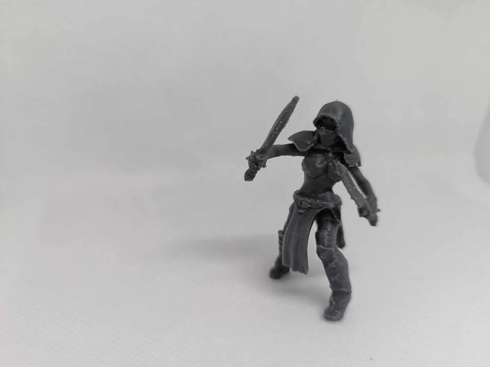 DnD mini Female Assassin/Rogue Dungeon and Dragon by drakeforge3d ...