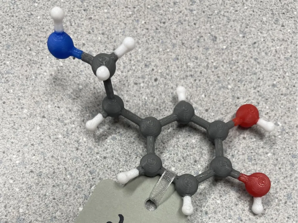 Dopamine. Accurate, from crystal structure data by CGXtals MakerWorld ...