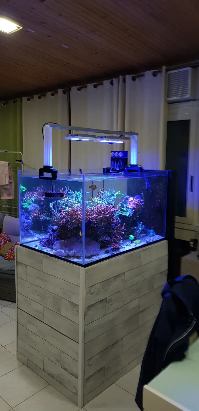 AI HYDRA HMS Mounting System ibrid 26/32/56/64 by salvatore.indovina ...