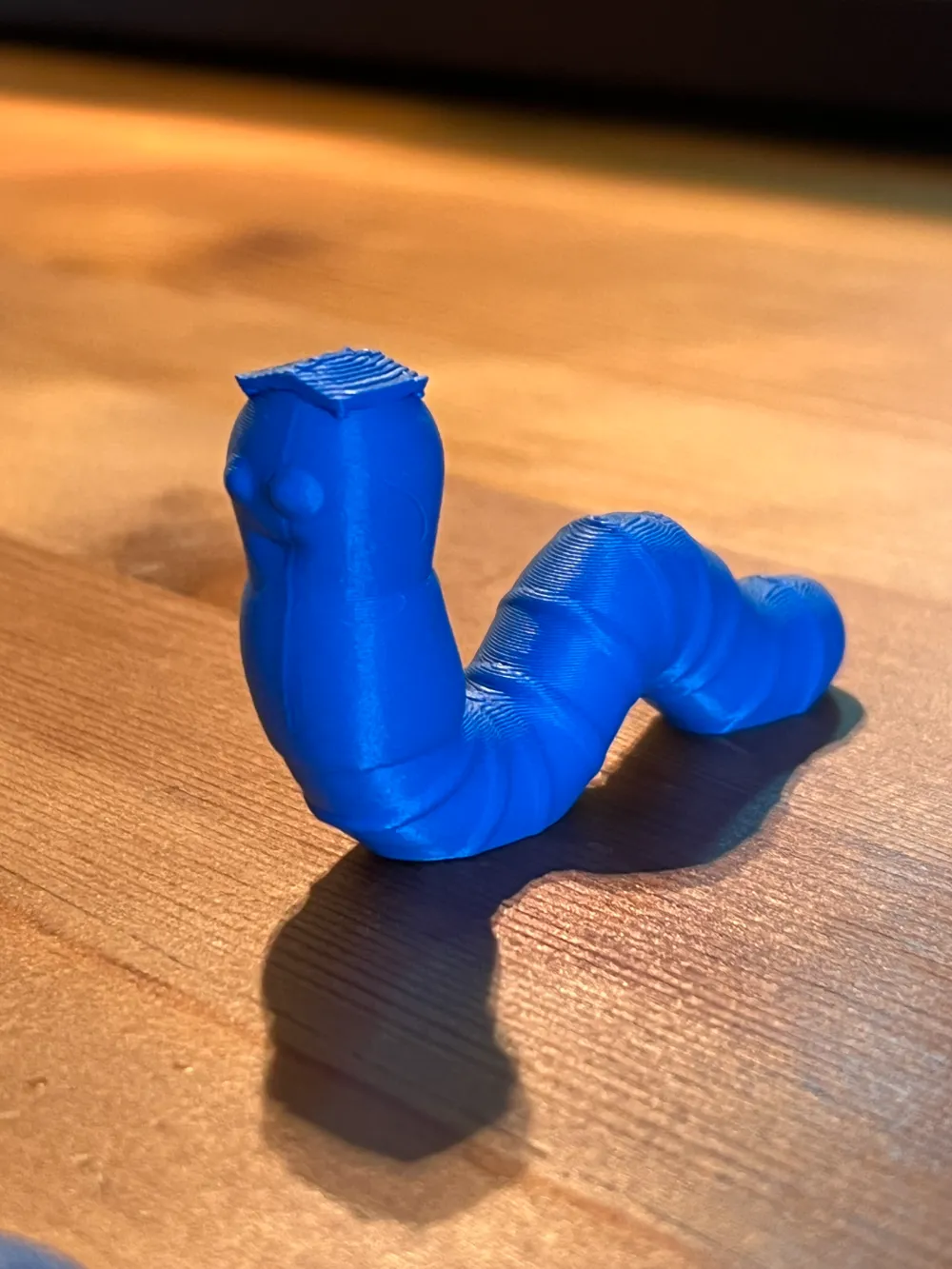 Bookworm - Worm with book on it's head by Zoidbergererer - MakerWorld