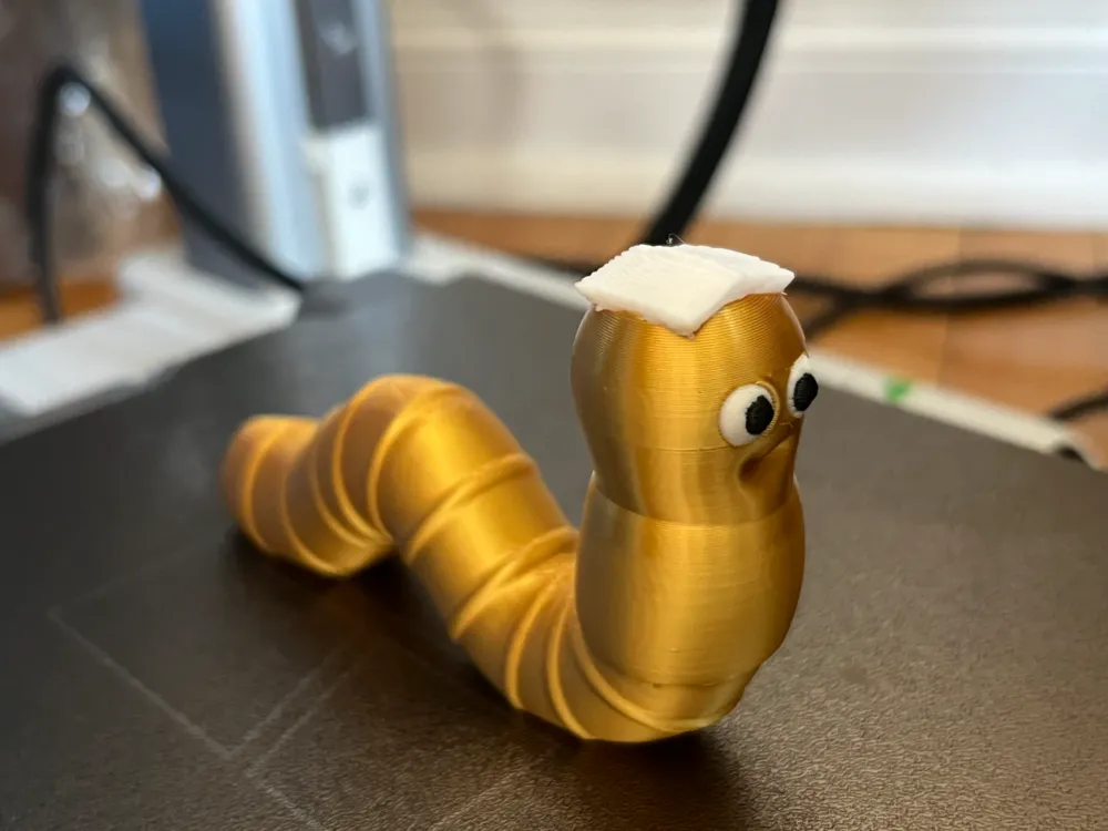 Bookworm - Worm with book on it's head by Zoidbergererer - MakerWorld