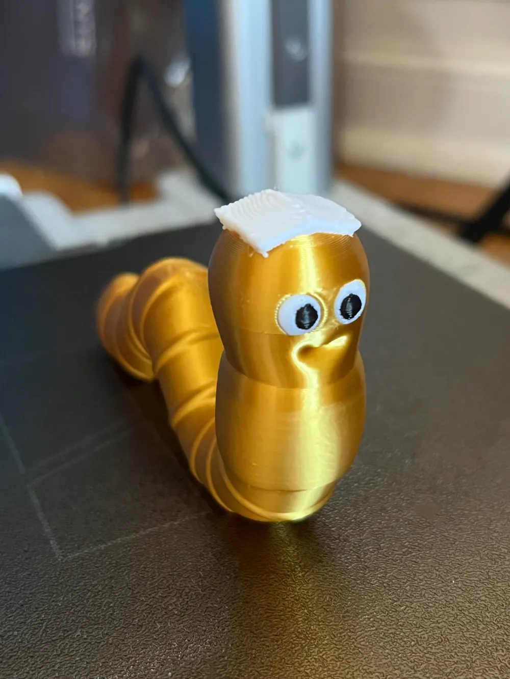 Bookworm - Worm with book on it's head by Zoidbergererer - MakerWorld