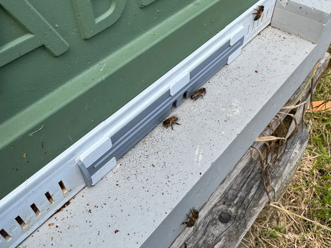 Abelo Bee Hive Entrance Reducer by Nick Young MakerWorld: Download Free ...
