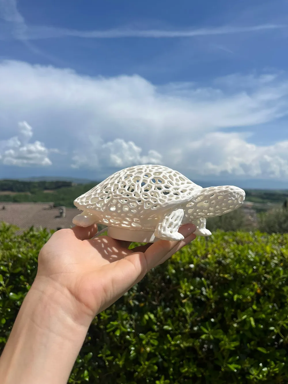 Turtle-shaped Lamp by Giovix MakerWorld: Download Free 3D Models