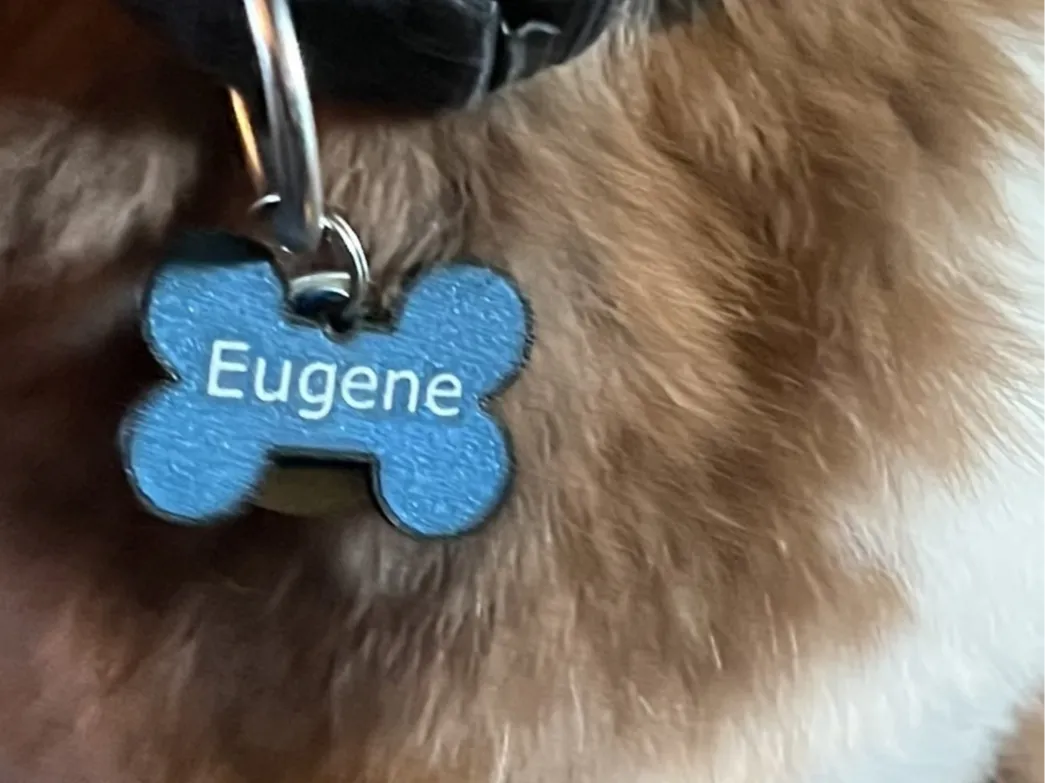 Dog Bone Pet Tag with NFC Tag - Free 3D Print Model - MakerWorld