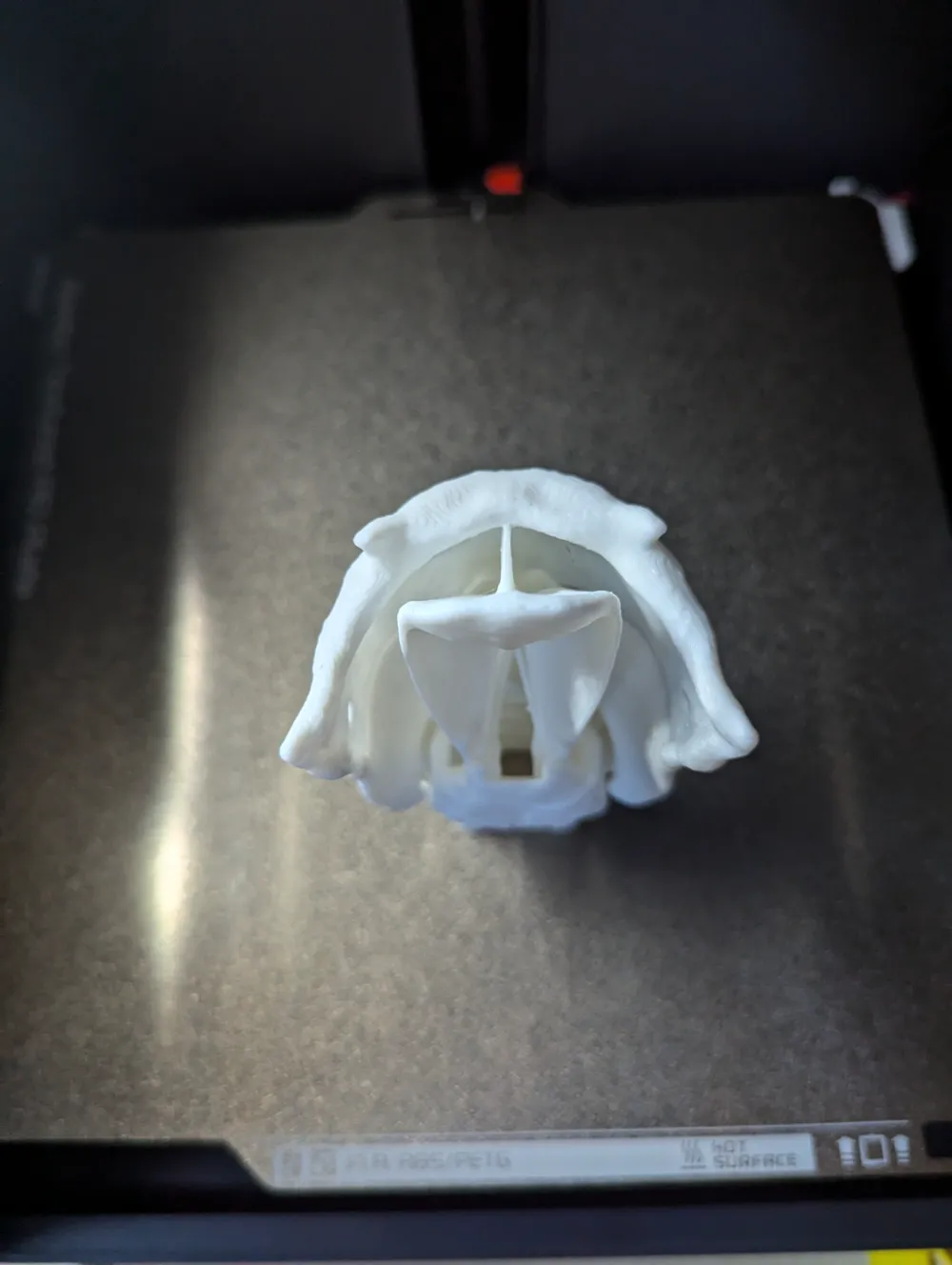 Upper Airway Model by flanker1743 - MakerWorld