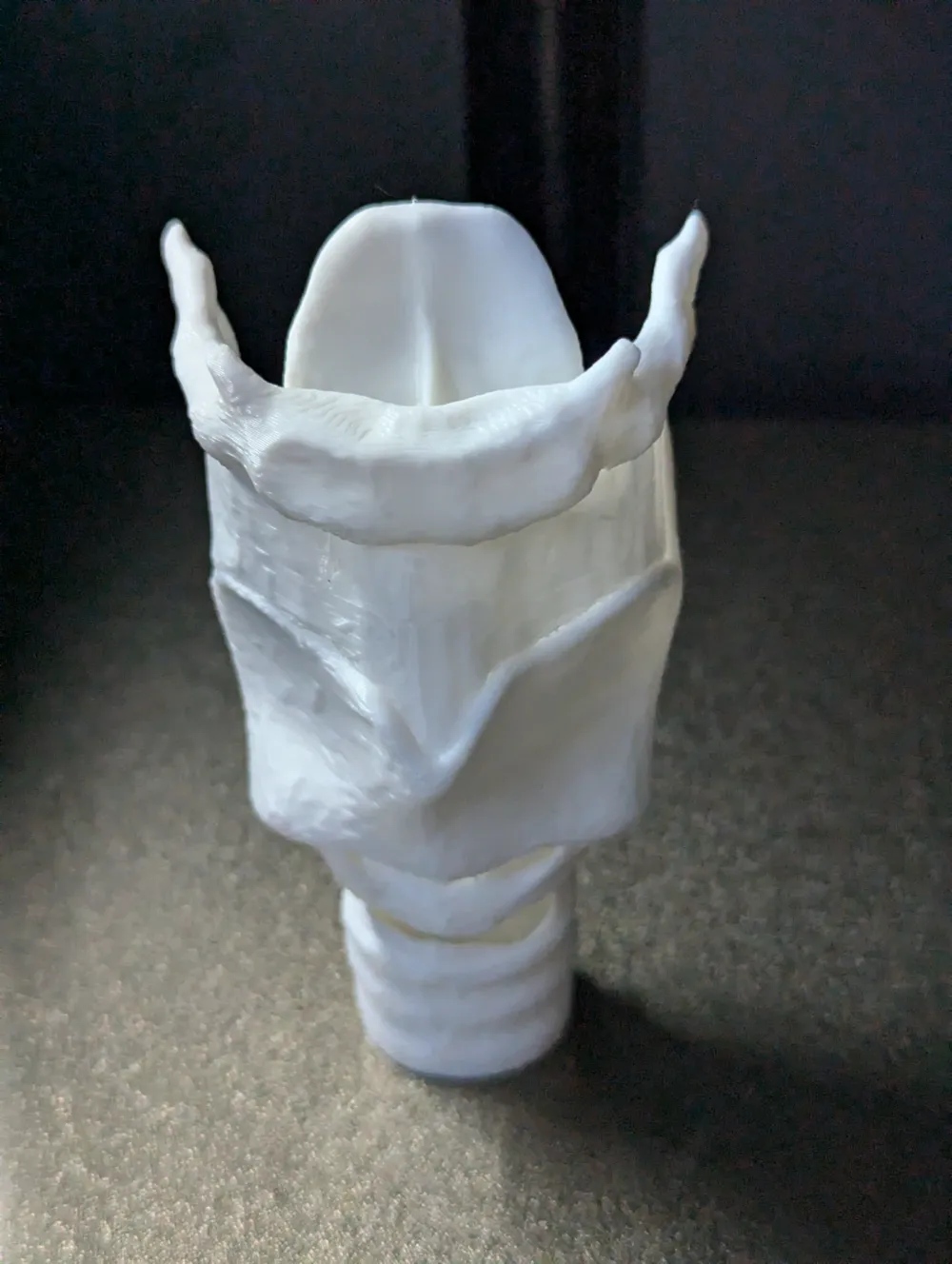 Upper Airway Model by flanker1743 - MakerWorld