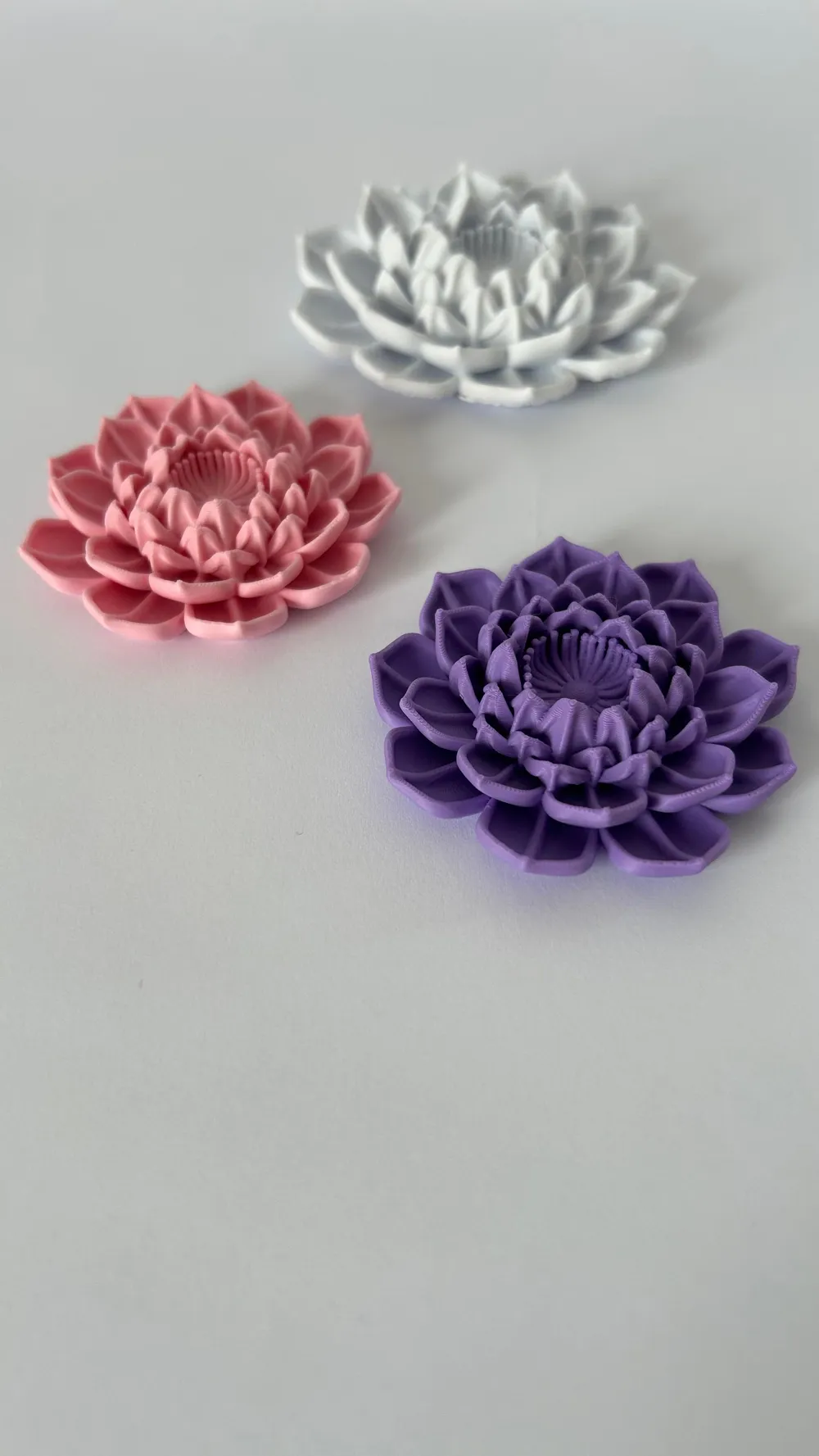 Lotus Flower by DL 3D LAB MakerWorld: Download Free 3D Models