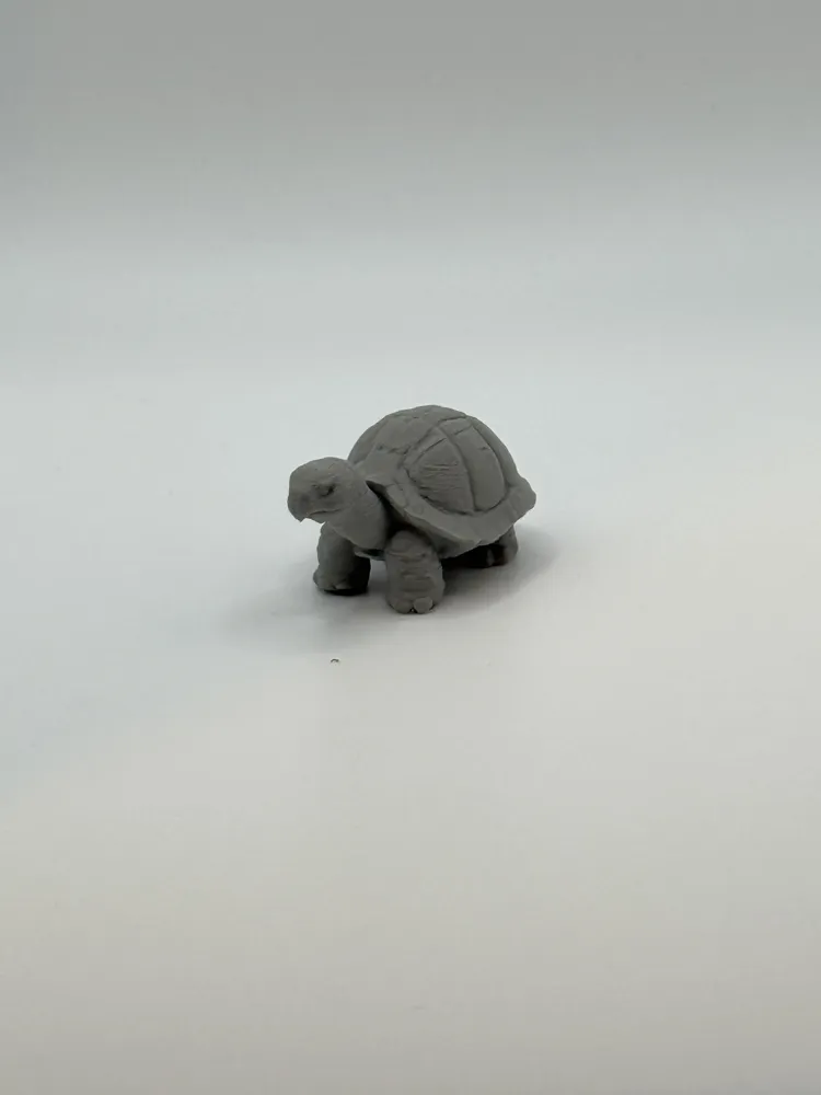 Turtle by wif1973 MakerWorld: Download Free 3D Models