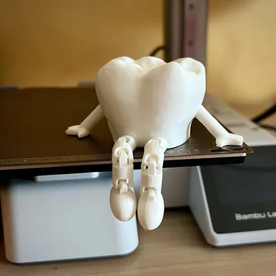 Articulated Tooth by Nshark3d MakerWorld: Download Free 3D Models